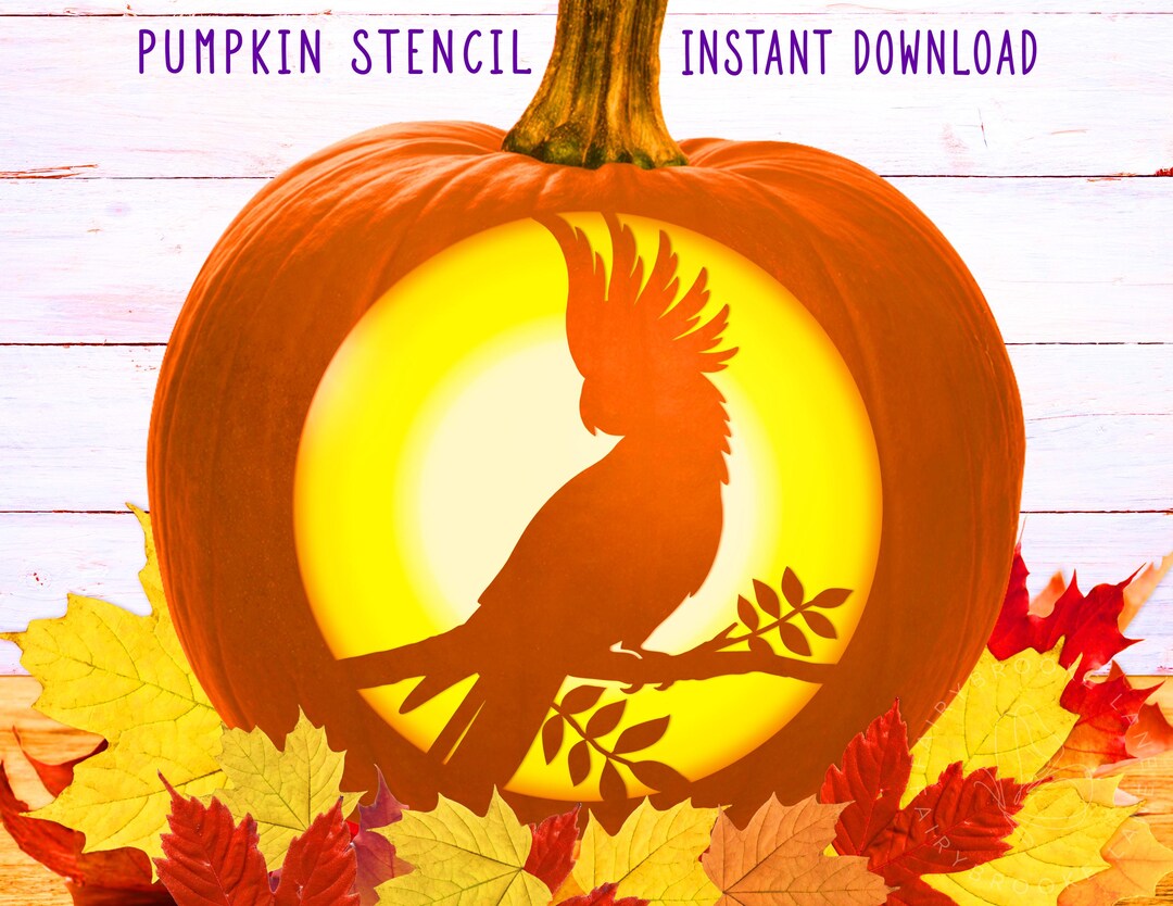 Cockatoo Pumpkin Stencil, Halloween Bird Stencil, Parrot PRINTABLE ...