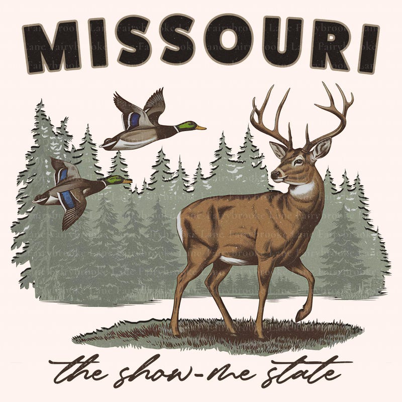 Show Me State - Etsy