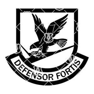 Defensor Fortis Air Force Security Forces Logo Digital Vector .eps ...