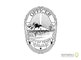 Tempe Arizona Police Department Officer Badge AZ Law - Etsy