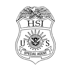 Homeland Security Investigations Badge SVG, HSI Special Agent Vector ...