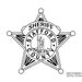 Texas DPS Criminal Investigations Special Agent Badge, TX Department of ...