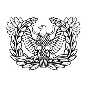Warrant Officer Eagle Rising Insignia Bundle SVG, Army Warrant WO Rank ...