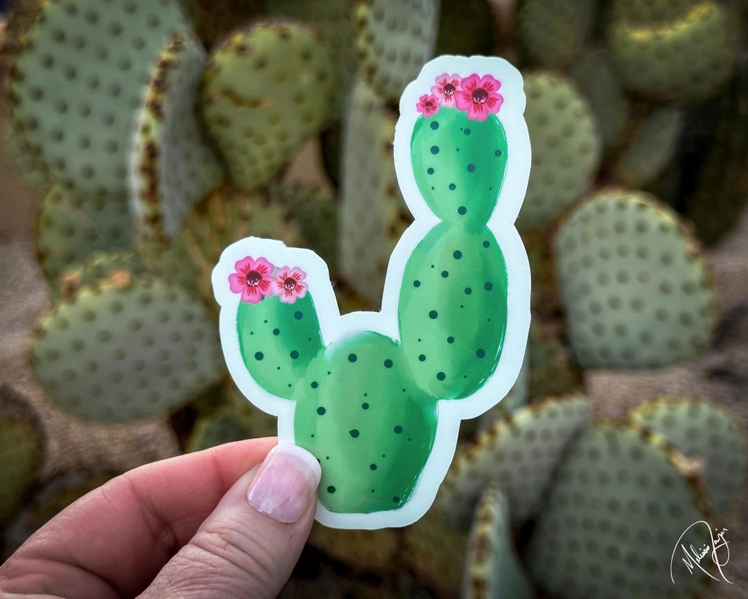 Cactus With Pink Flowers Sticker: Waterproof Laptop Decal - Etsy