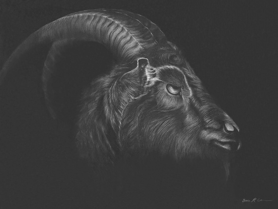 Black Philip print - Etsy