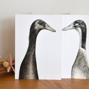 Duck Cards Set of Two - Etsy