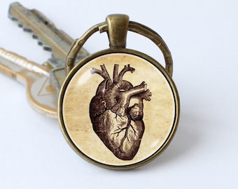 Anatomy Heart Keychain - Etsy