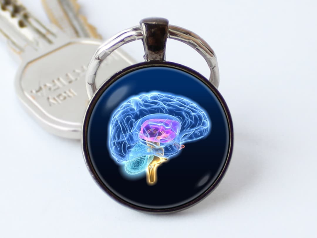 Brain Keychain Doctor Gift Medical Key Chain Neuroscience Brain Pendant ...
