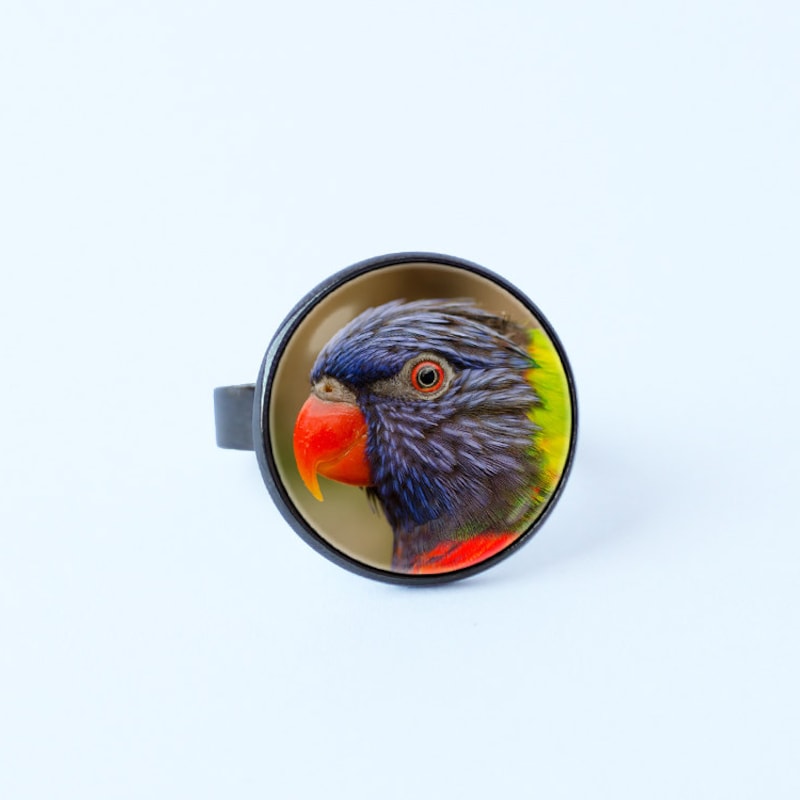 Parrot Jewelry - Etsy