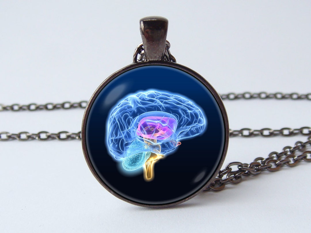 Necklace Human Brain Brain Pendant Anatomy Science Brain Necklace Gift ...