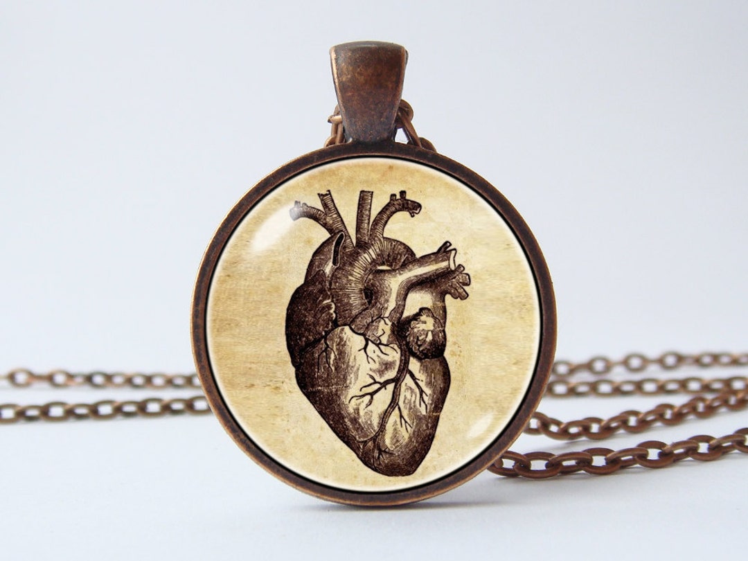 Human Heart Necklace Anatomical Human Heart Pendant Heart Jewelry ...