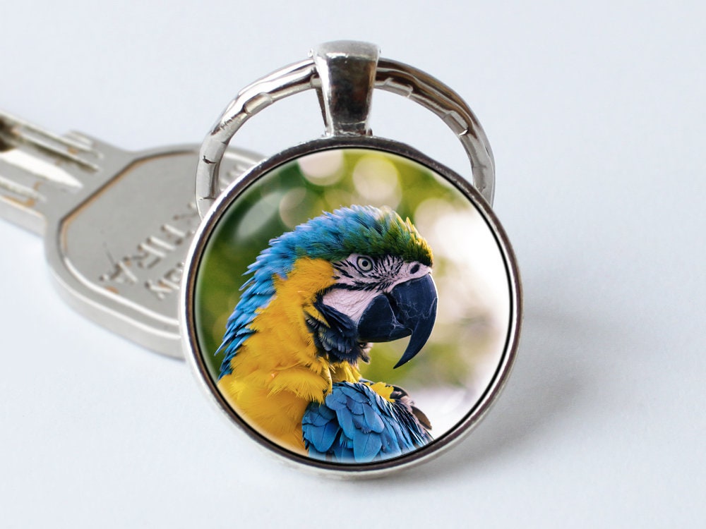 Parrot Necklace Parrot Pendant Gift for Women Parrot Jewelry - Etsy