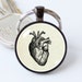 Heart Keychain Human Heart Keyring Doctor Gift Anatomy Key Chain Heart ...