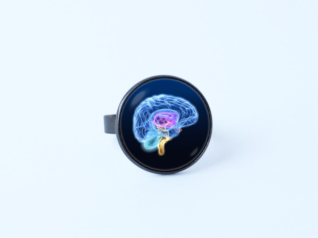 Human Anatomy Brain Ring Neuroscience Ring Brain Ring Brain Jewelry ...