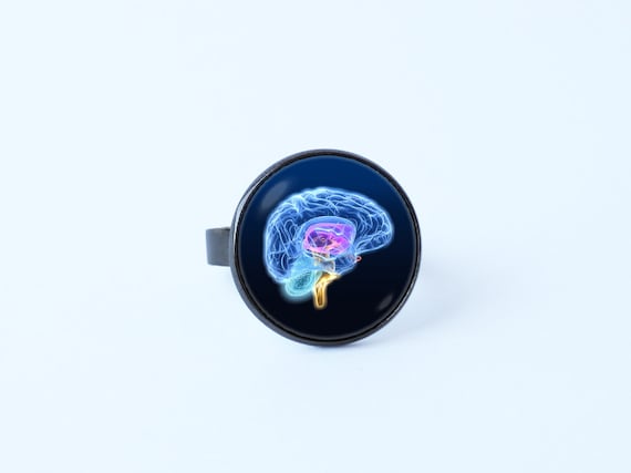 Human Anatomy Brain Ring Neuroscience Ring Brain Ring Brain | Etsy