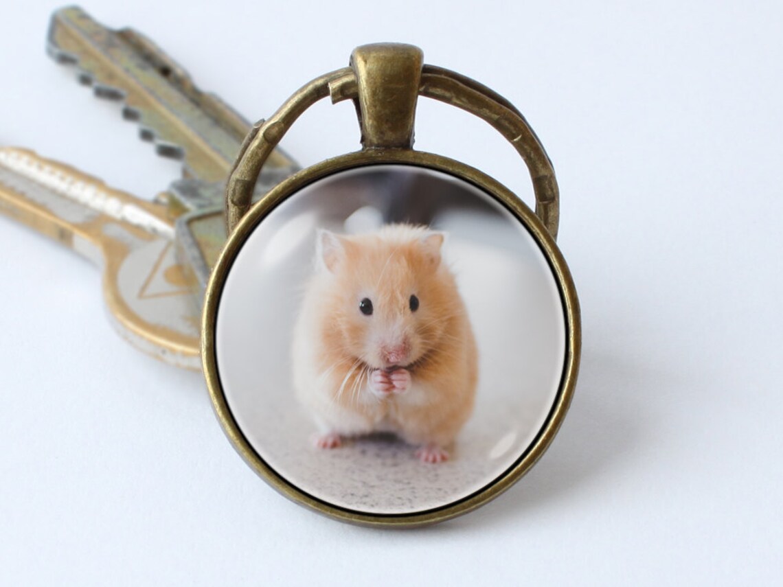 Hamster keychain Hamster keyring Hamster jewelry Hamster | Etsy