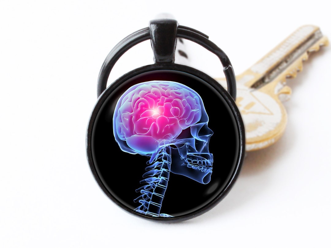Brain Keychain Human Brain Skull Jewelry Skull Key Ring Brain Jewellery ...
