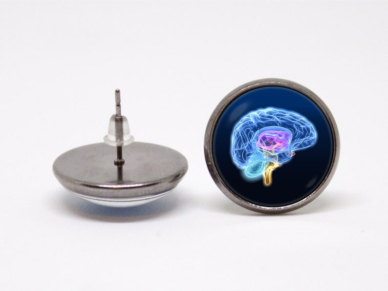 Human Brain Earrings Brain Earrings Anatomical Jewelry Anatomy Earrings ...