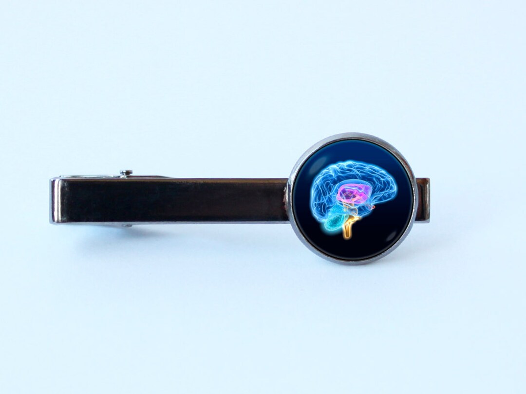 Brain Model Tie Clip Brain Tie Clip Medical Jewelry Human Brain ...
