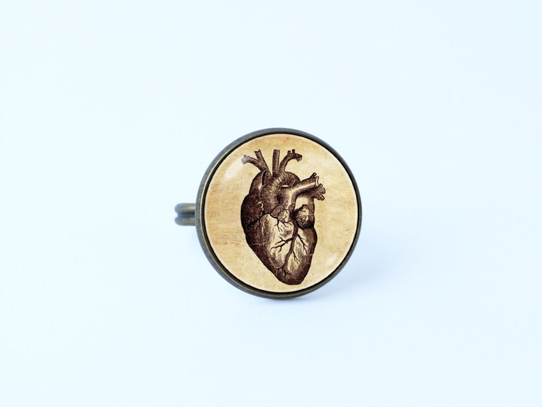 Human Heart Ring Anatomical Ring Anatomical Jewelry Heart Ring Medical ...