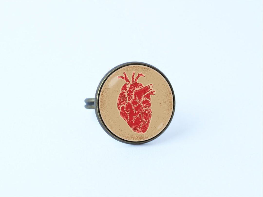 Human Heart Ring Anatomical Cardiologist Gift Anatomy Ring Heart Ring ...