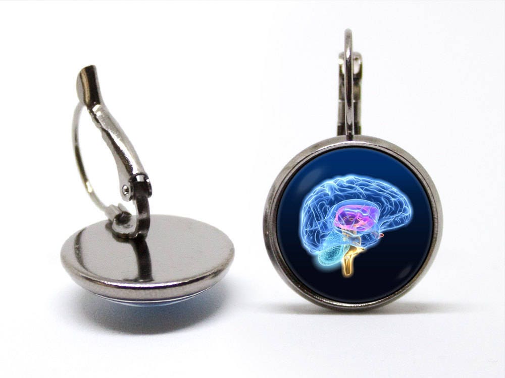 Human Brain Earrings Brain Earrings Anatomical Jewelry Anatomy Earrings ...