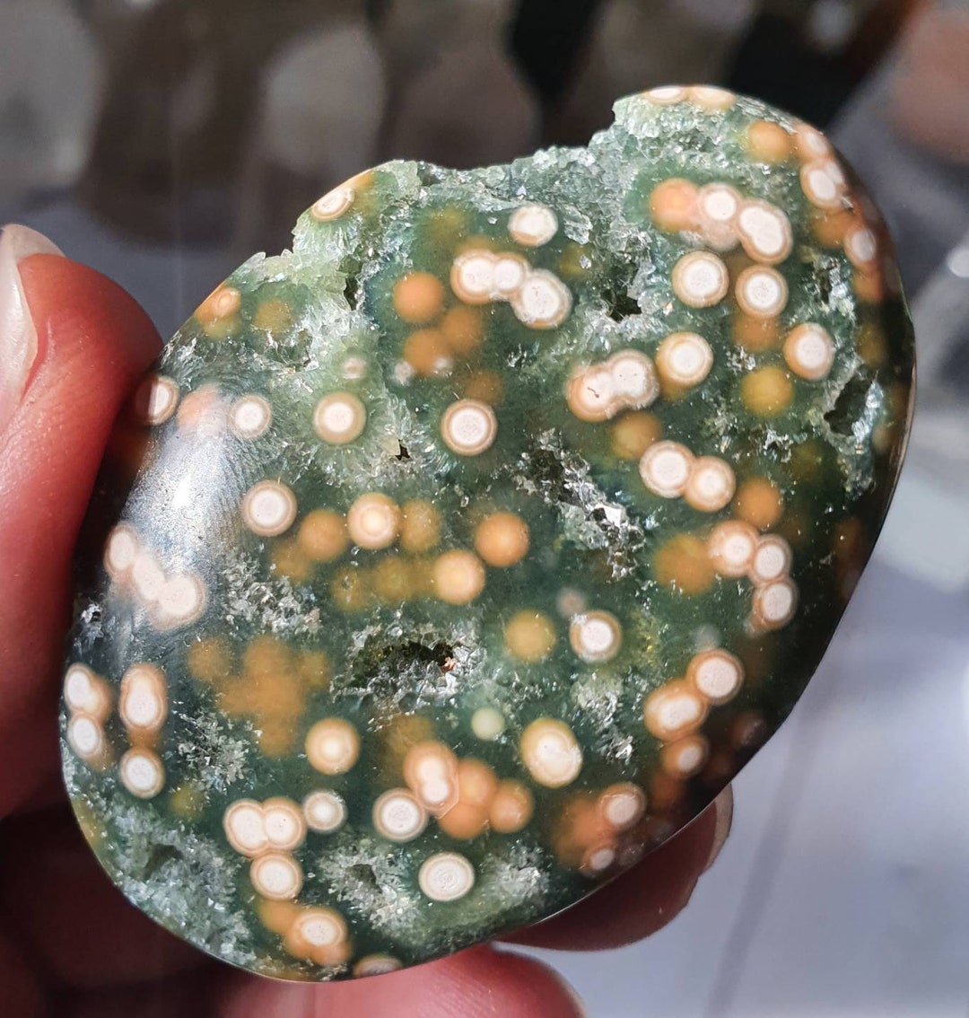 Orbicular Jasper Palm Stone, Green Orbicular Ocean Jasper Palmstone - Etsy
