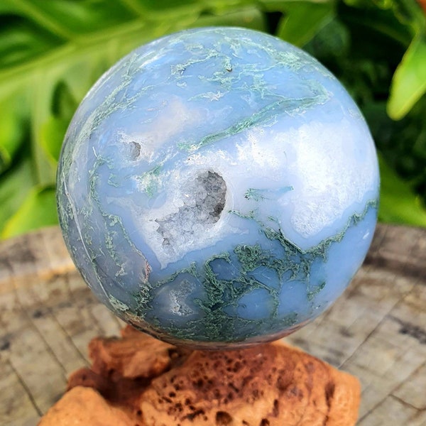 Blue Moss - Etsy