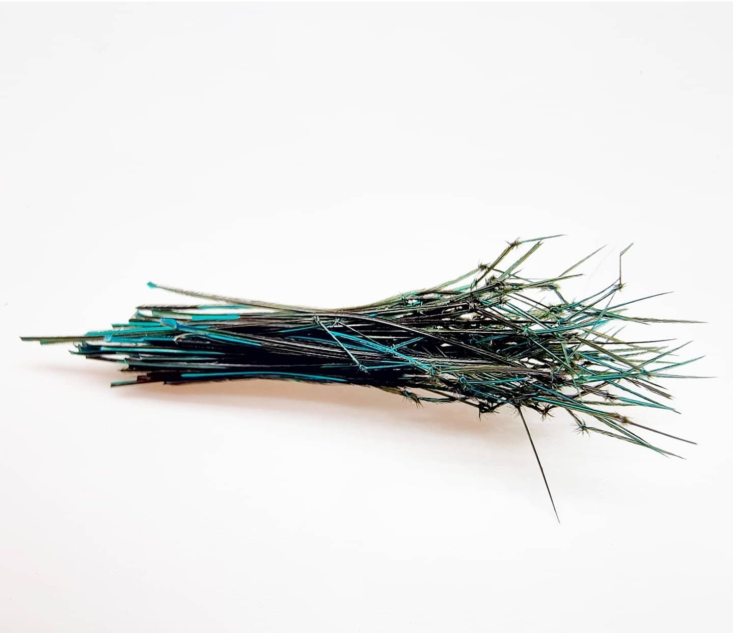 Double Knotted Hopper Legs Fly Tying Materials - Etsy