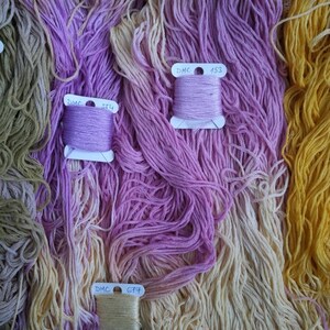Hand Painted Matt Cotton Floss AMBROSIA Hand Dyed Thread for Embroidery ...