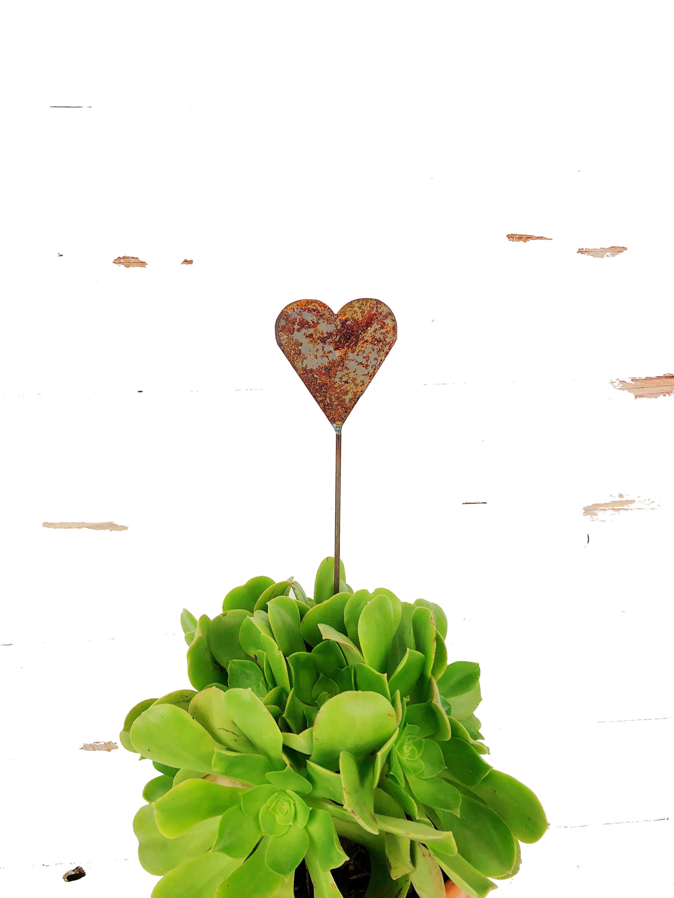 Heart Potted Plant Stake Garden Stake Metal Heart Unique - Etsy