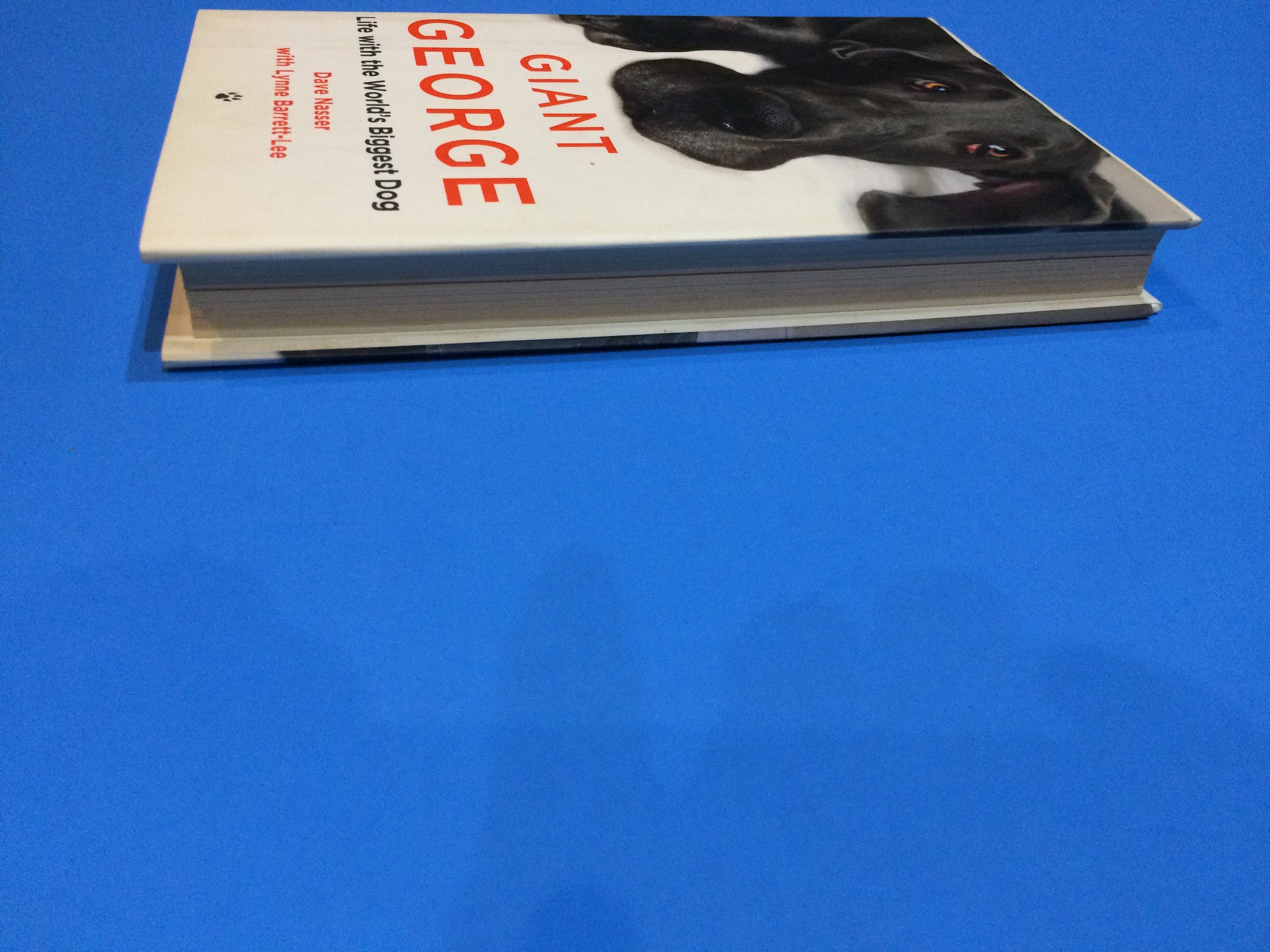 Giant George Book