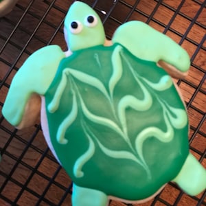 Turtle Cookies - Etsy