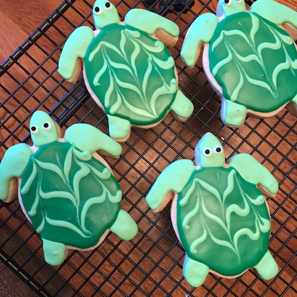 Turtle Cookies - Etsy
