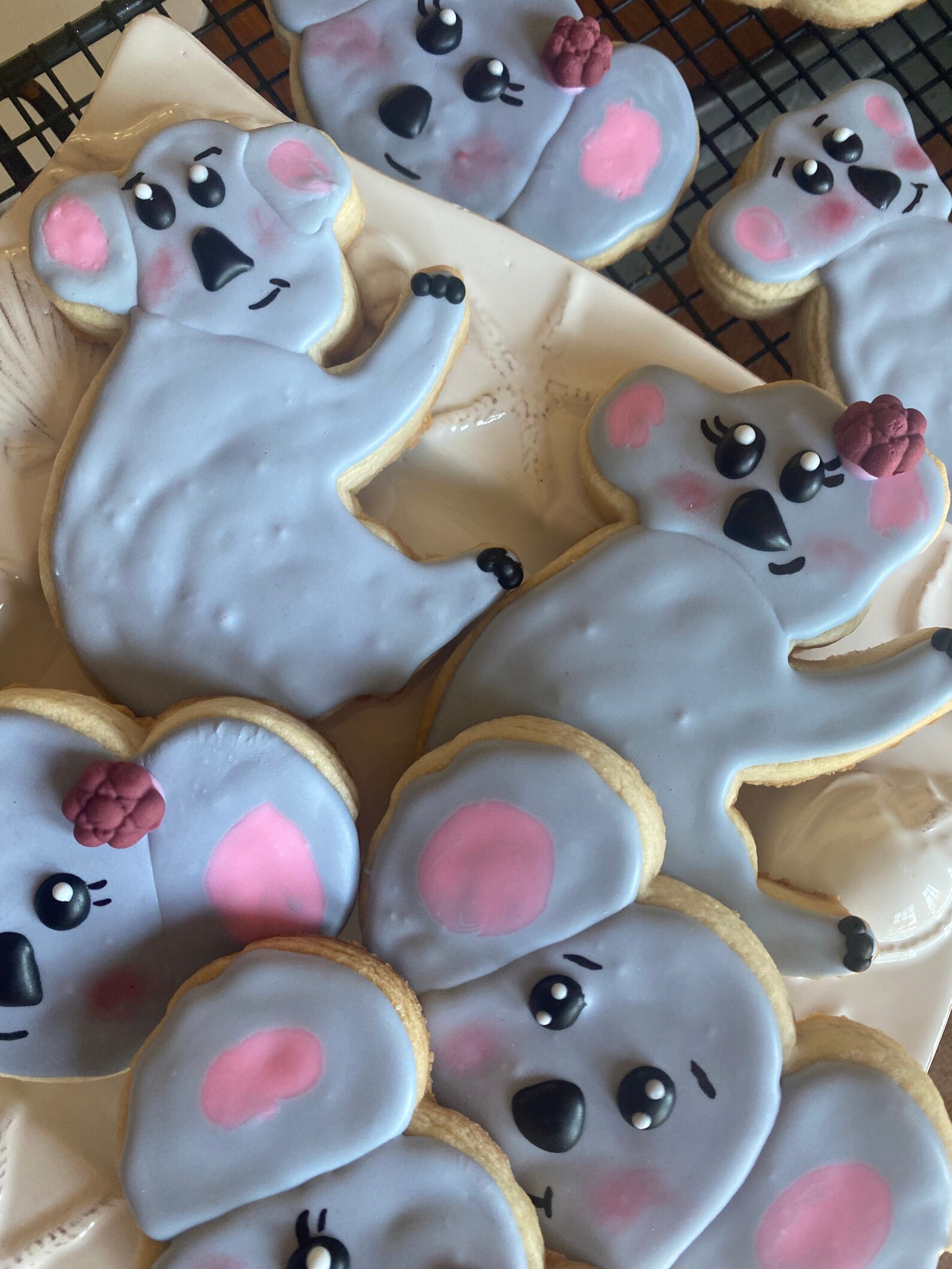 Koala Bear Cookies - Etsy