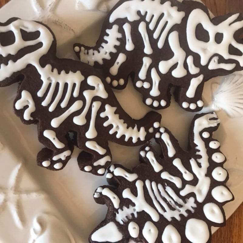 Dinosaur Cookies - Etsy