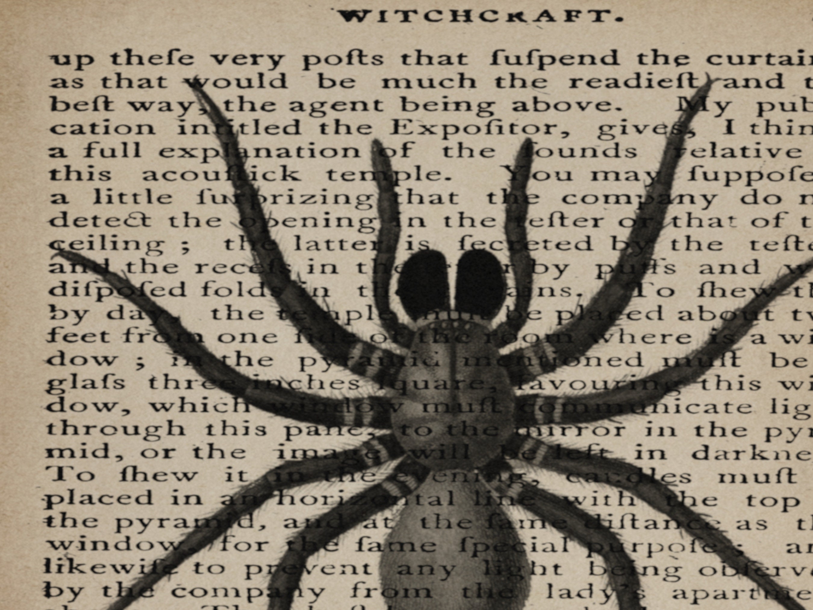 Arachnid Printable, Spider Art, Halloween Art Craft, Tarantula Print ...