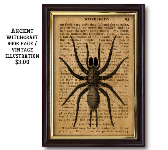Arachnid Printable Spider Art Halloween Art Craft Tarantula | Etsy