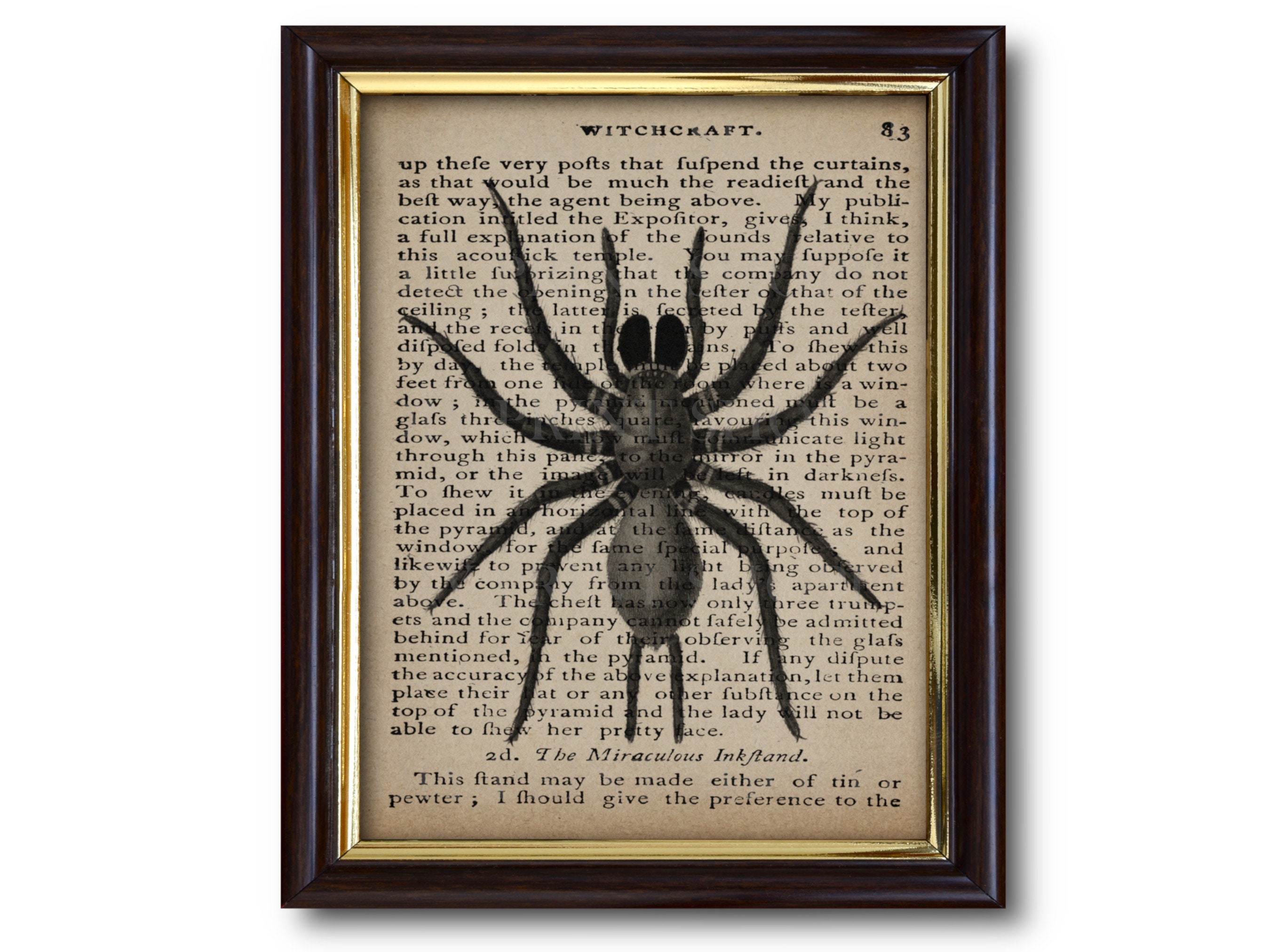 Arachnid Printable, Spider Art, Halloween Art Craft, Tarantula Print ...