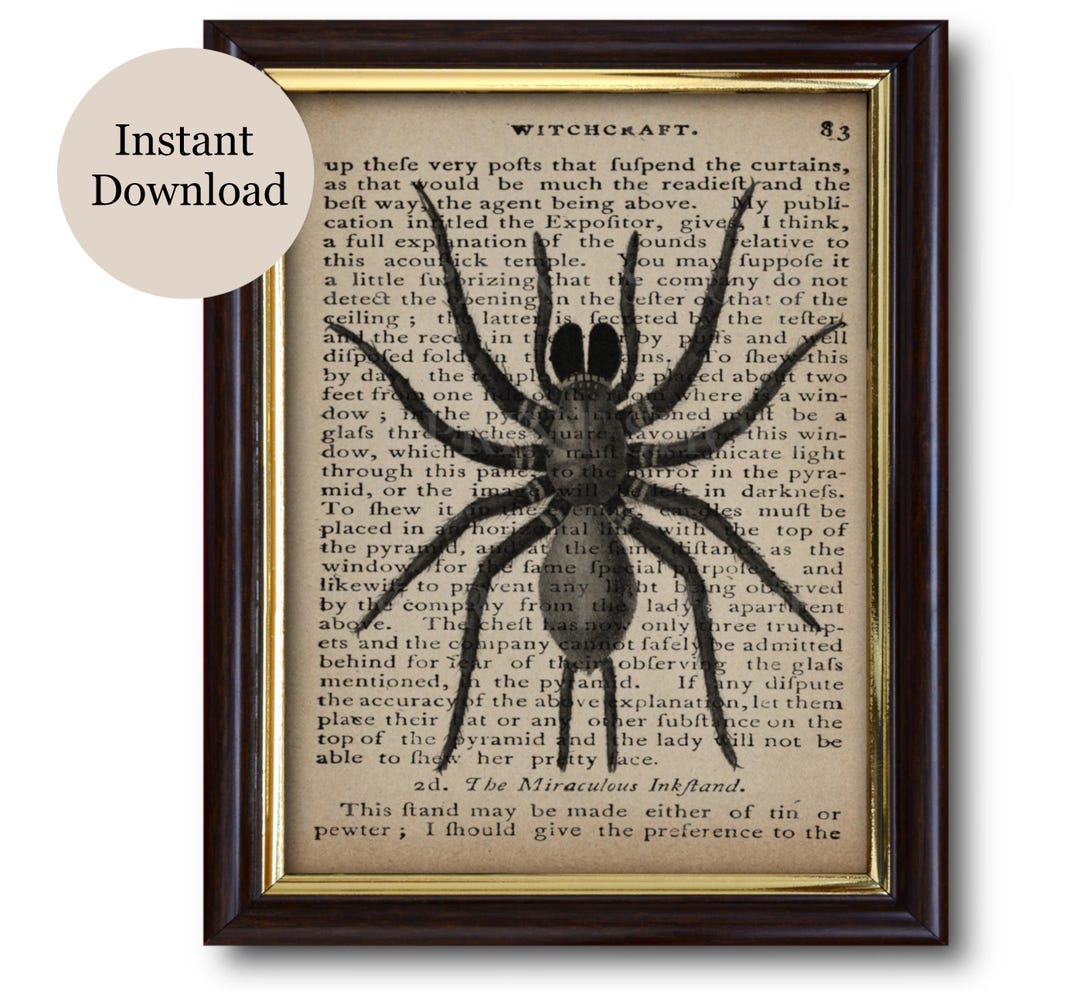 Arachnid Printable, Spider Art, Halloween Art Craft, Tarantula Print ...