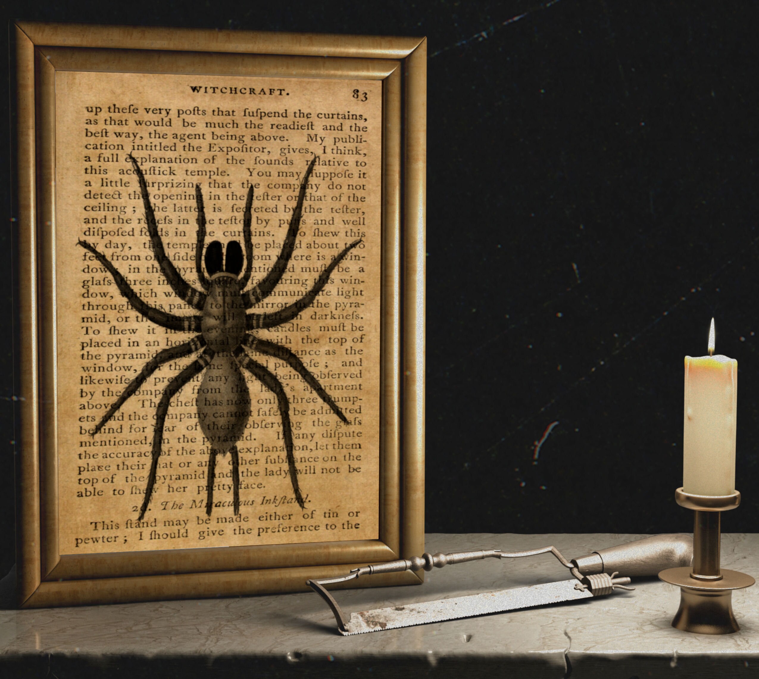 Arachnid Printable, Spider Art, Halloween Art Craft, Tarantula Print ...