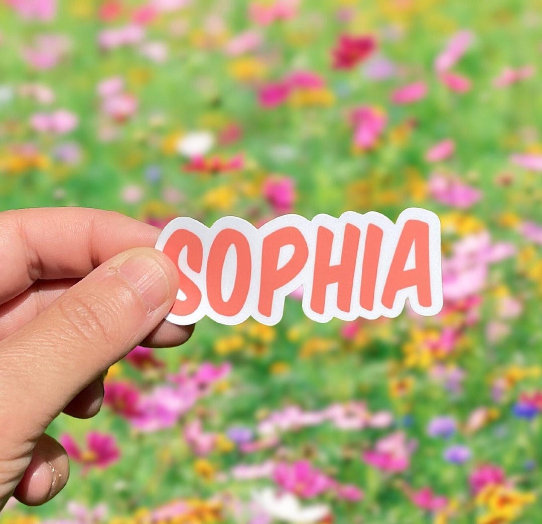 Laptop Name Sticker, Custom Name Decal, Water Bottle Name Sticker, Name ...