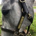 Solid Brass Saddle Plate , Halter Plate , Bridle Plate , Trophy Plate ...