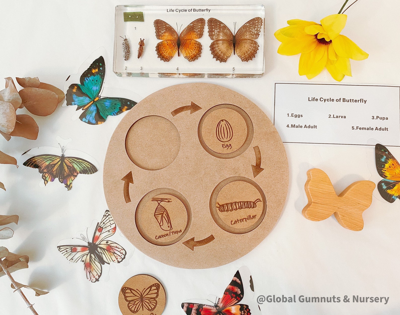 Butterfly Life Cycle ROUND PUZZLE Montessori - Etsy