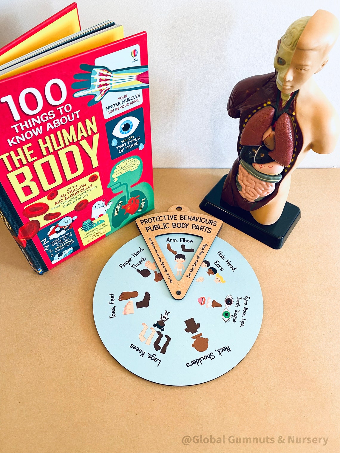 Interactive Protective Behaviours Spinner Dial With Viewer Window for ...