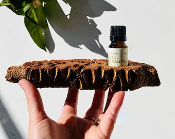 Natural Banksia Pod-large Essential Oil Diffuser - Etsy