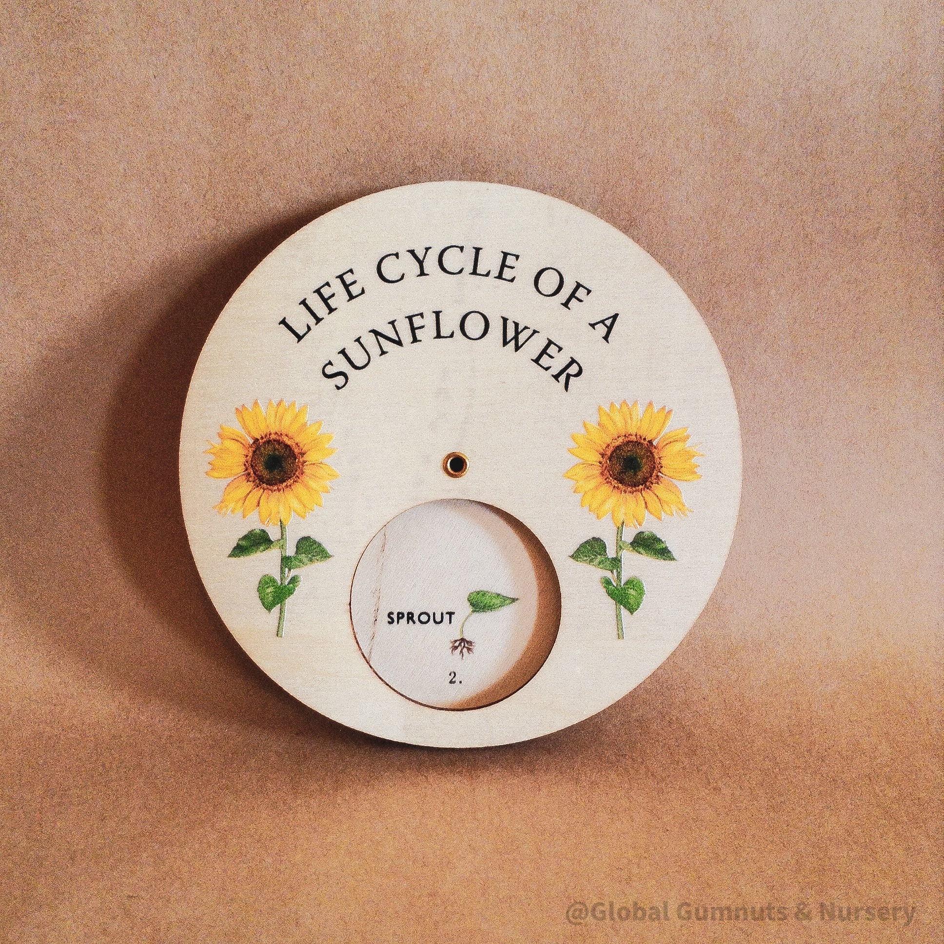 Sunflower Life Cycle Wheel Engage Kids With Life Cycle Of A Flower Hat