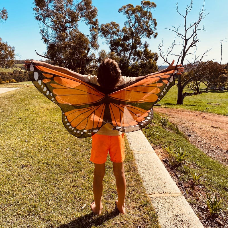 Butterfly Wings Cape - Etsy