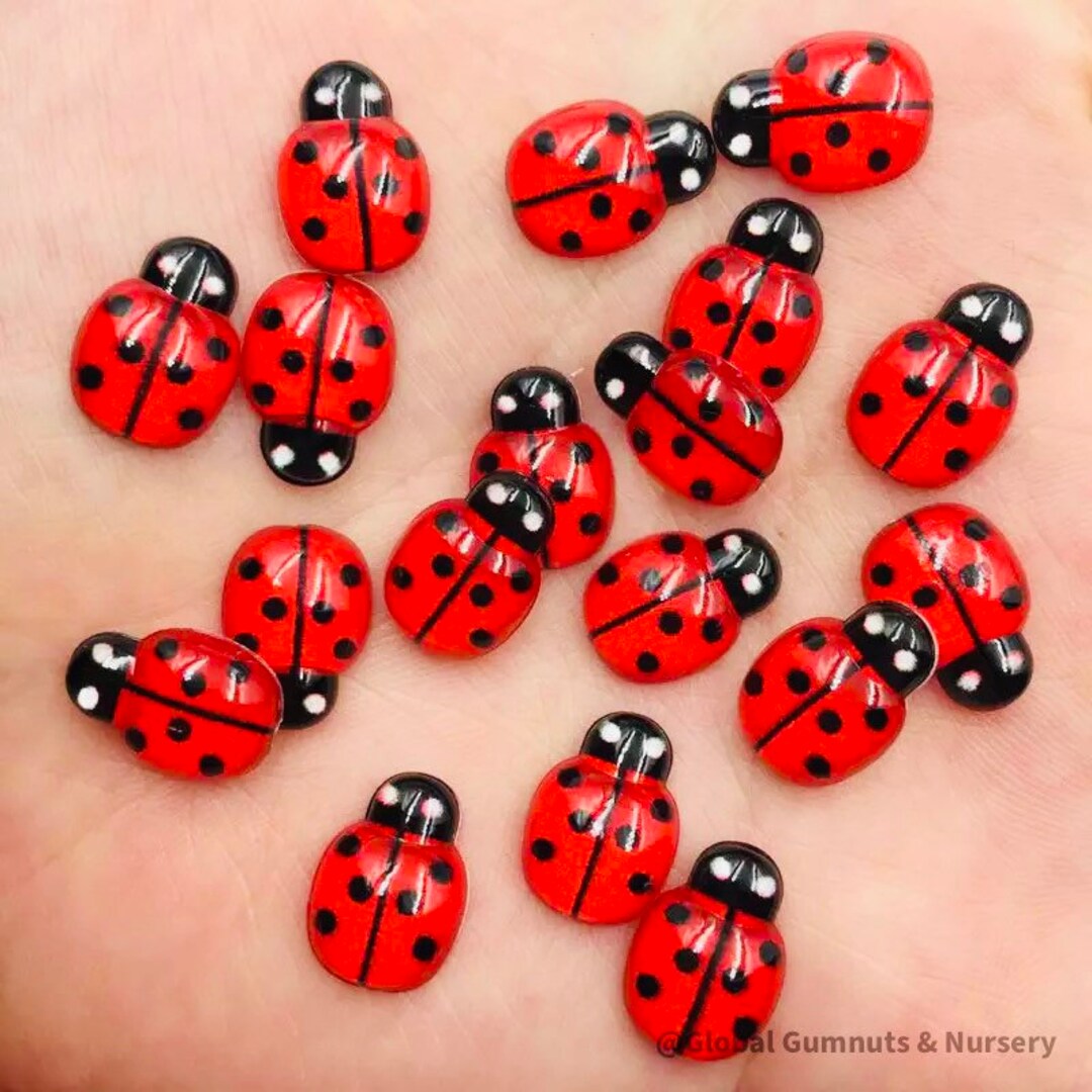 Coccinelles RÉSINE Coccinelles - Etsy France