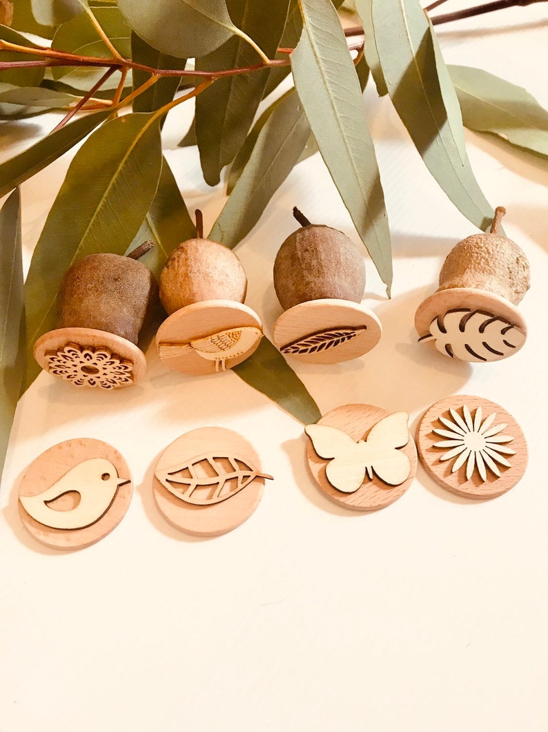 Birds, Flora & Nature Set | Gumnut Nature Stamps | 8 Pieces - Etsy